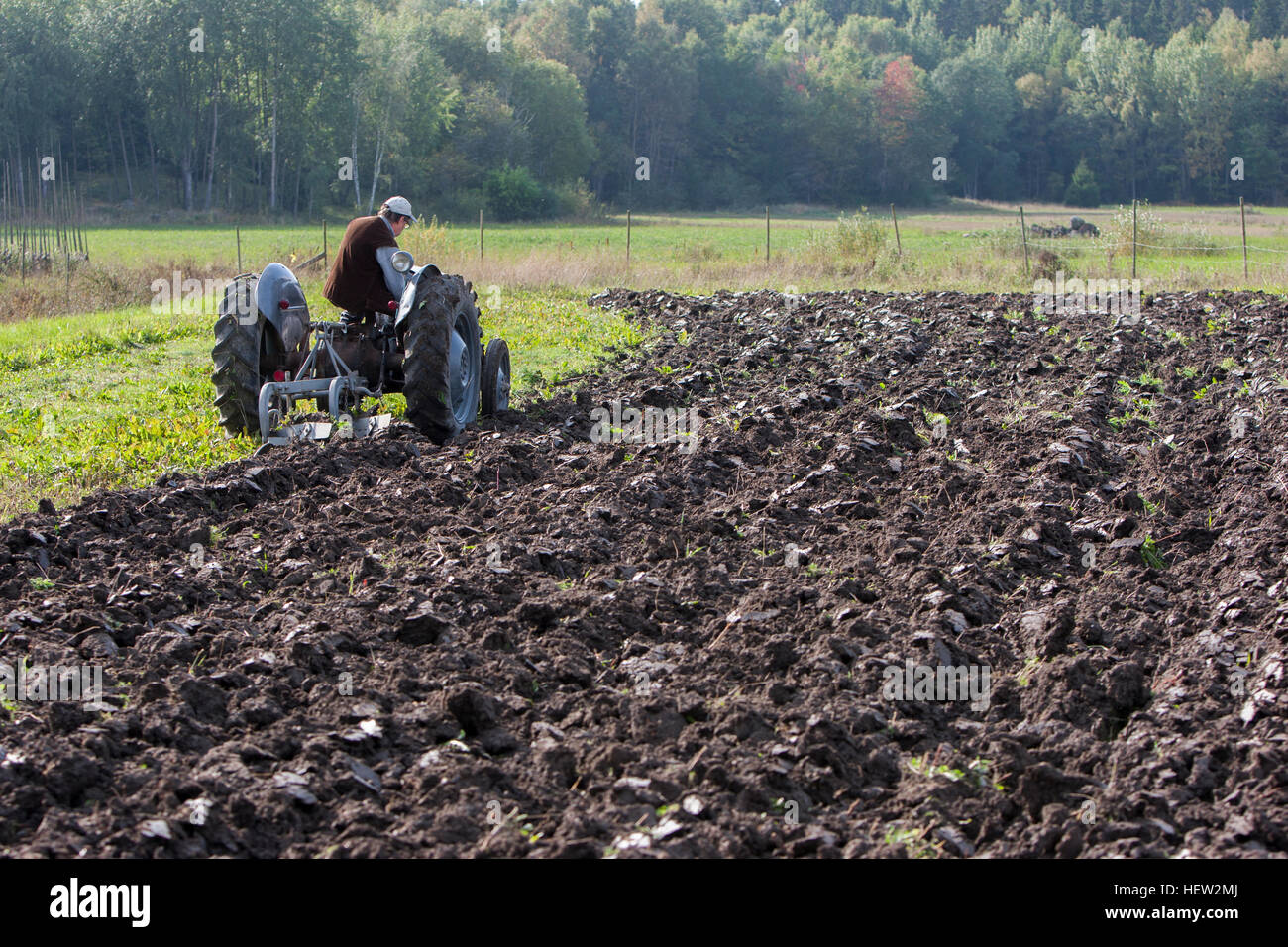 Farmer plowing with a tractor Stock Photo - Alamy