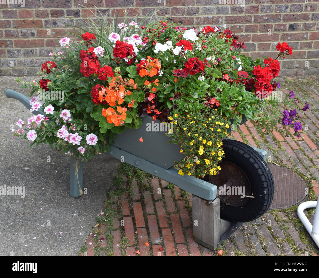 Wheelbarrow with colourful flowers hi-res stock photography and images ...
