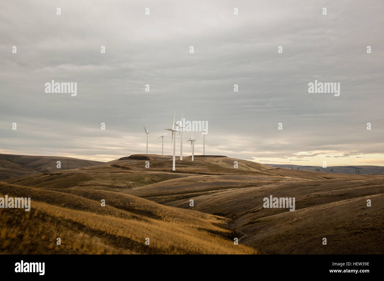 Wind farm on rolling landscape, Condon, Oregon, USA Stock Photo - Alamy