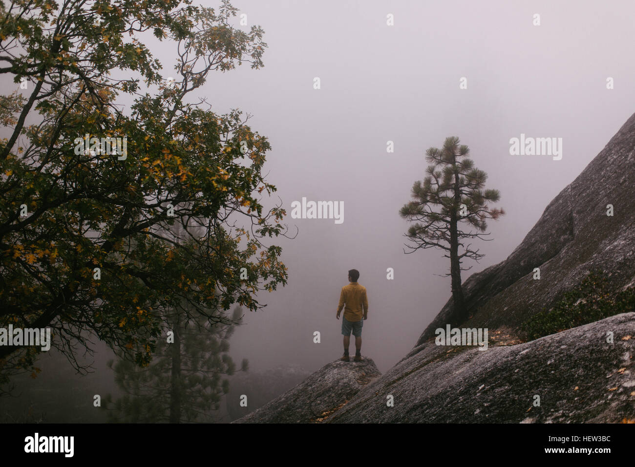 Elevated rear view person hi-res stock photography and images - Alamy