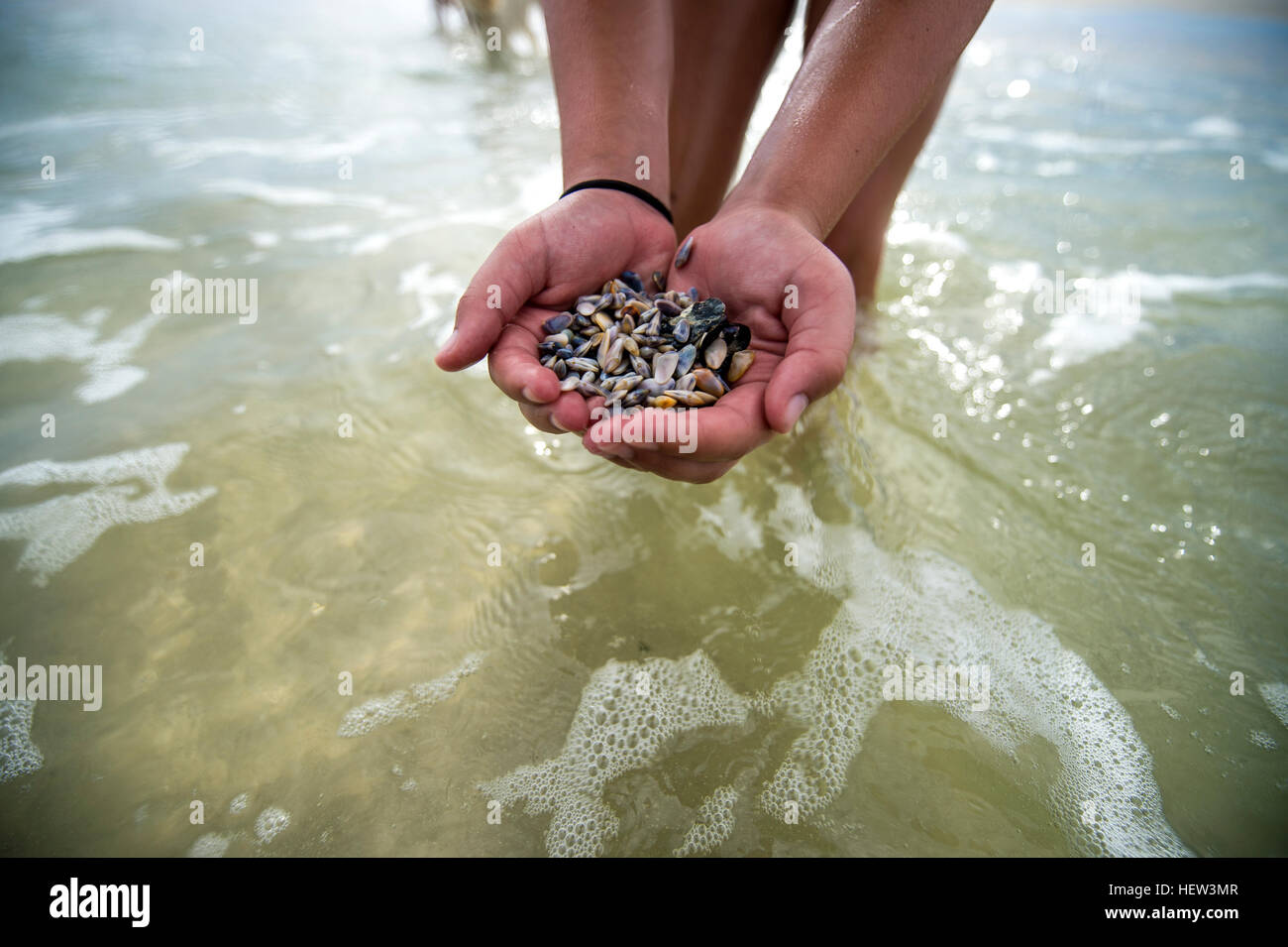 Full hands hi-res stock photography and images - Alamy