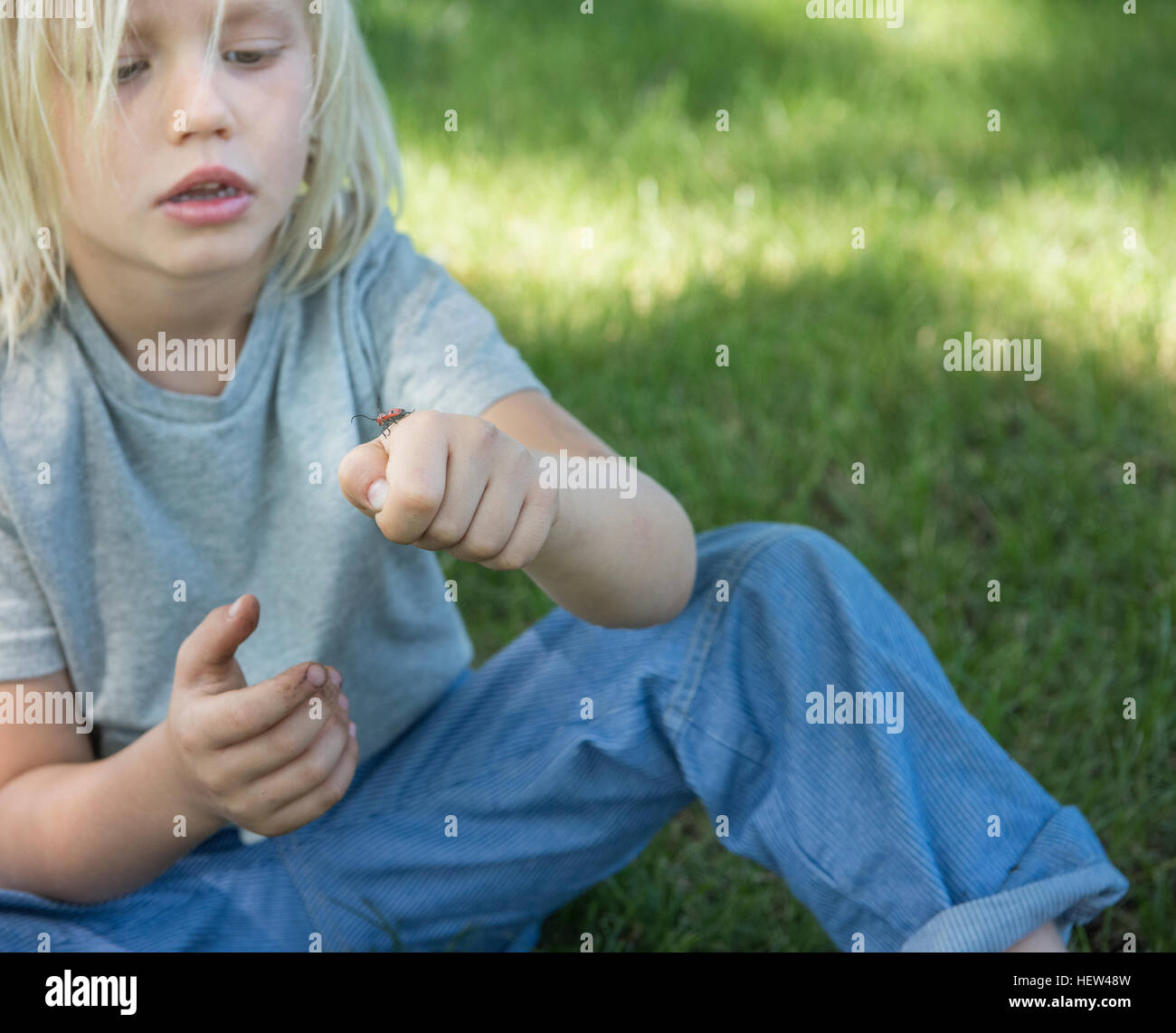 Boy holding insect Stock Photo - Alamy