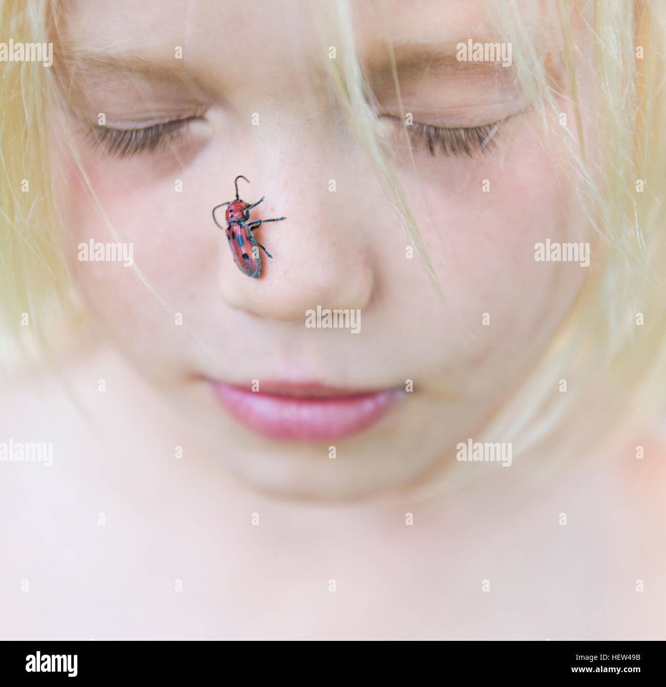 Boy with insect on nose Stock Photo - Alamy