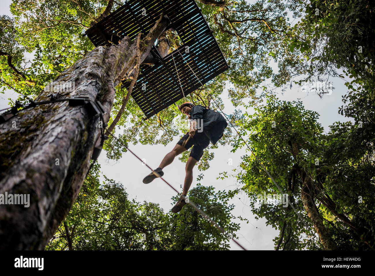 Rope hanging from tree hi-res stock photography and images - Alamy