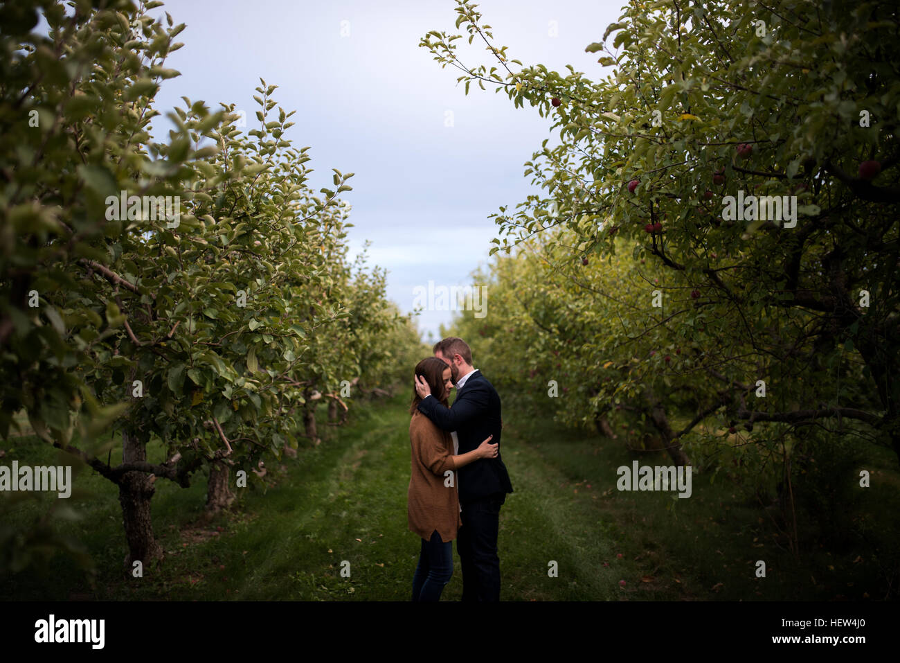 Romantic mid adult couple embracing in orchard Stock Photo - Alamy