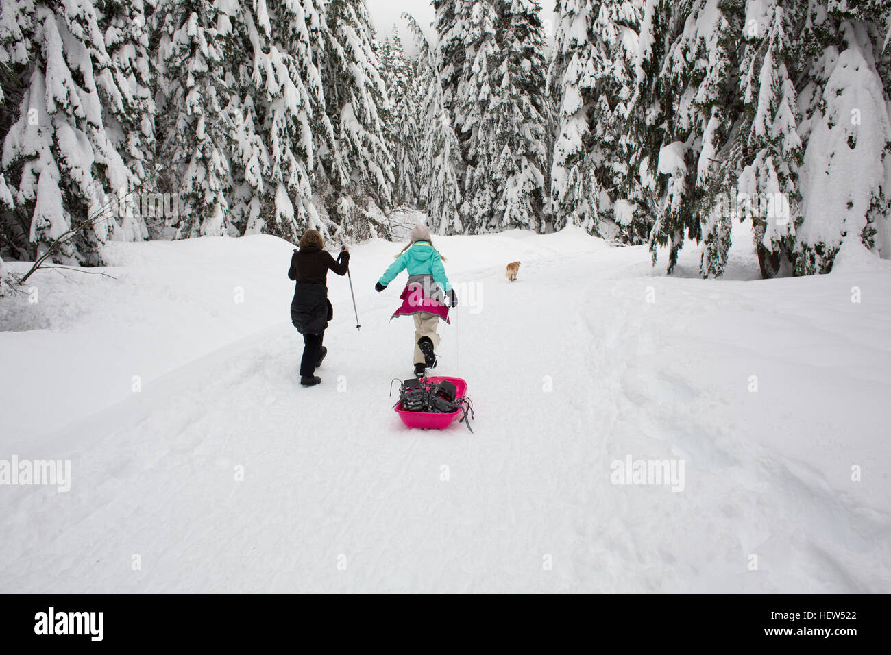Boy and girl walking in snow, pulling sled, rear view Stock Photo - Alamy