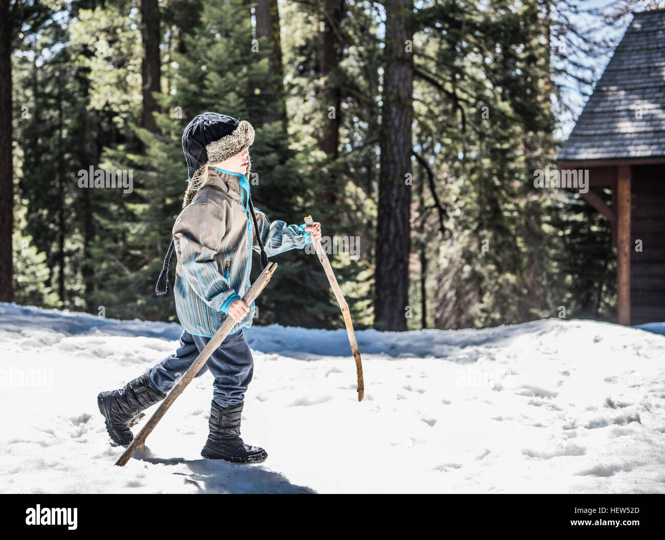 Young boy walking in snow using wooden sticks, Sequoia National Park ...