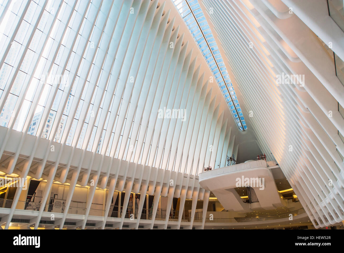 Oculus structure, One World Trade Centre, New York City, New York, USA ...