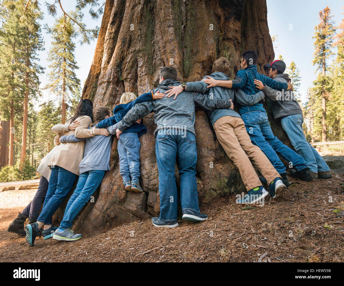 Linking arms rear view hi-res stock photography and images - Alamy