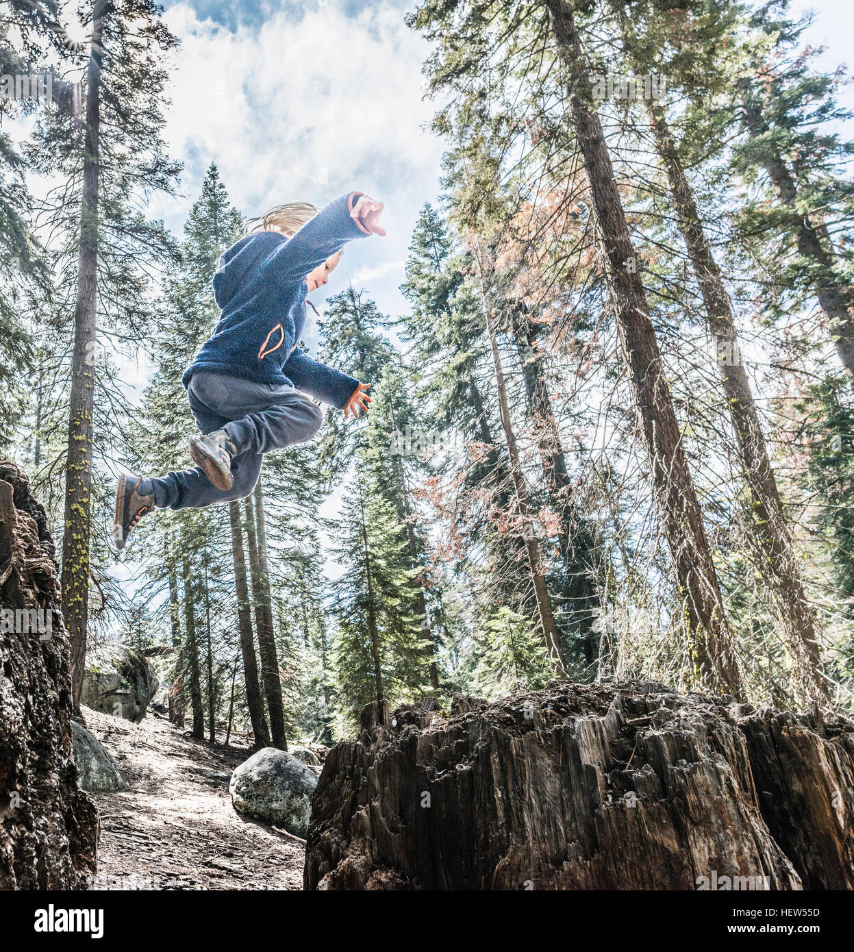Boy jumping from tree hi-res stock photography and images - Alamy