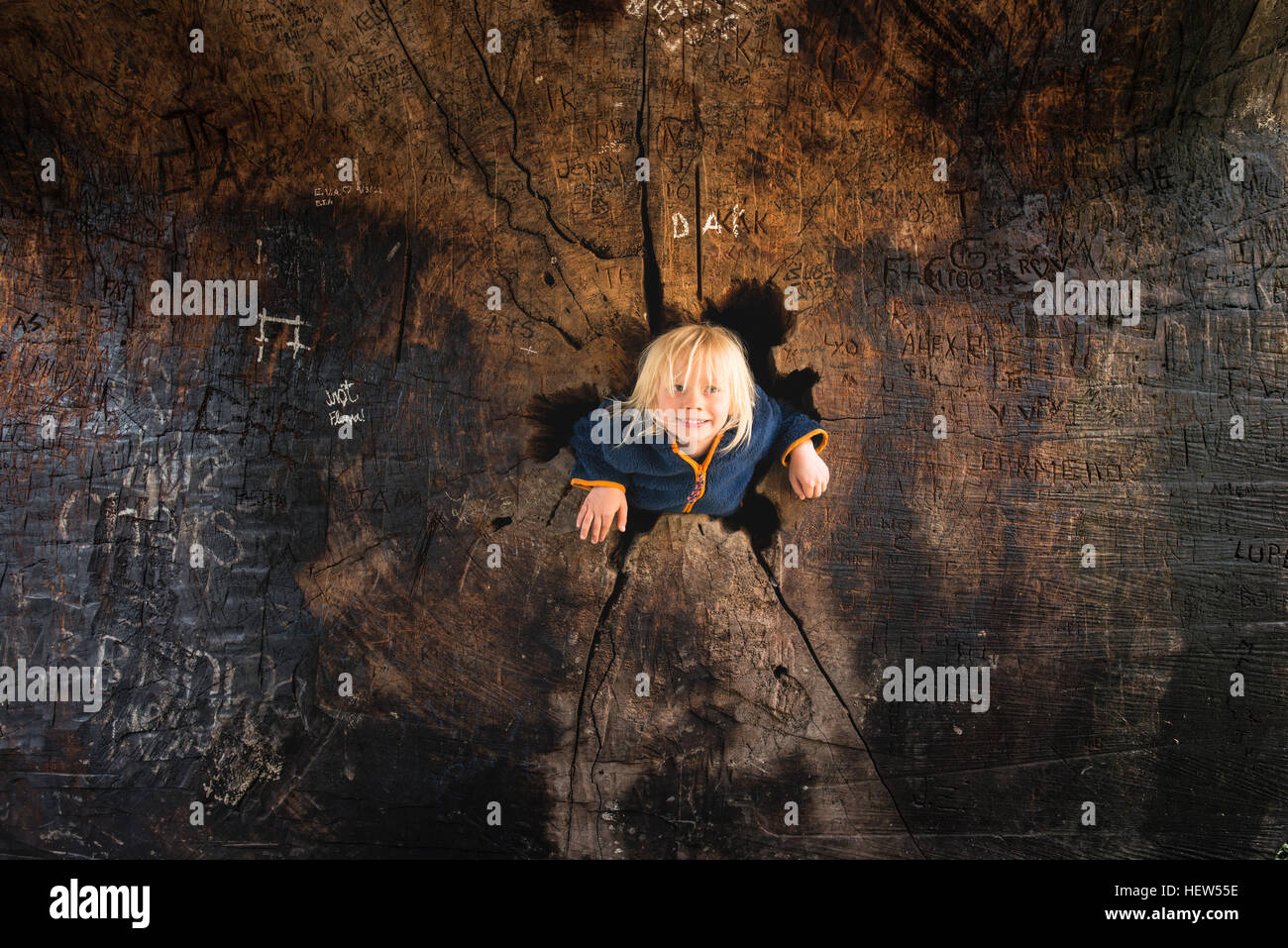 Child stuck up tree hi-res stock photography and images - Alamy