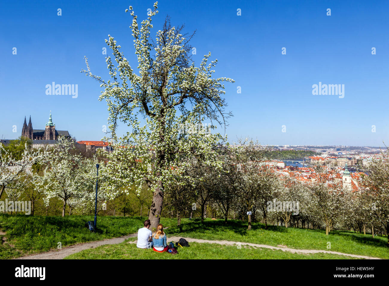 Prague castle garden flower hi-res stock photography and images - Alamy