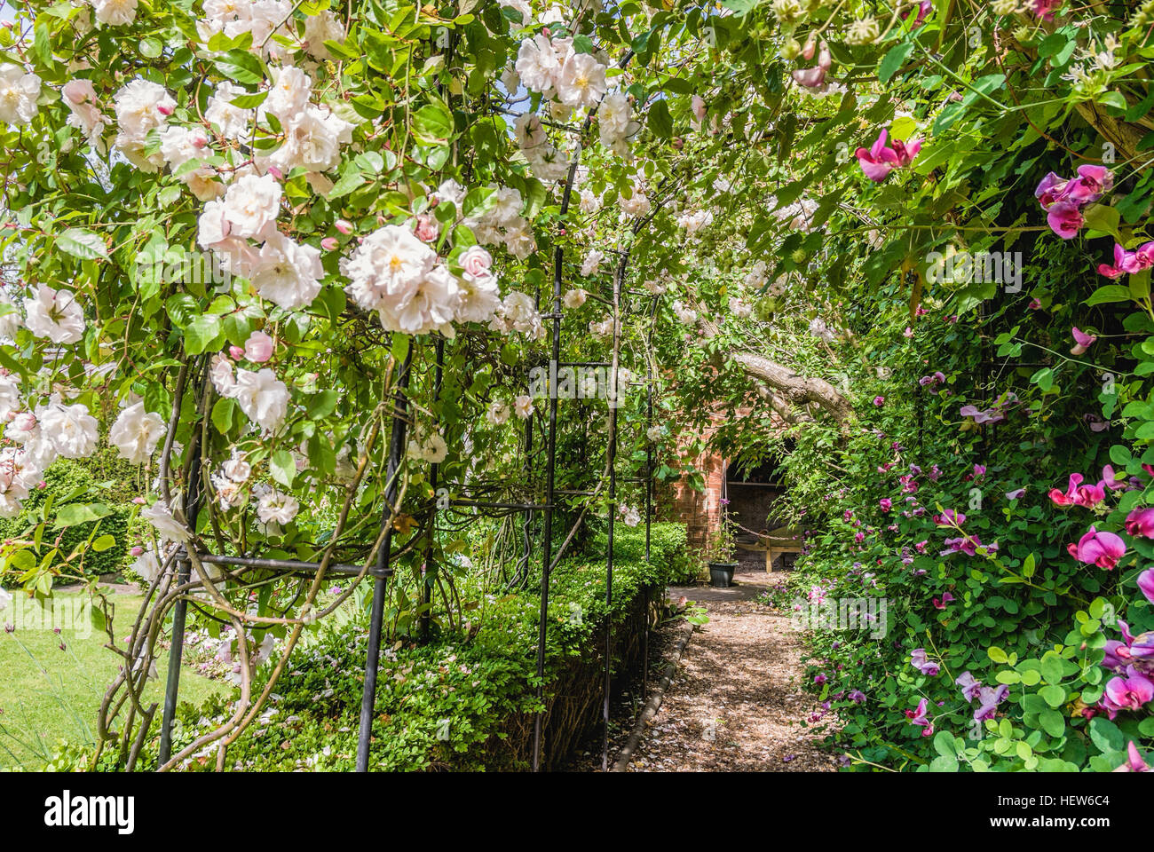 English Bushes High Resolution Stock Photography and Images - Alamy