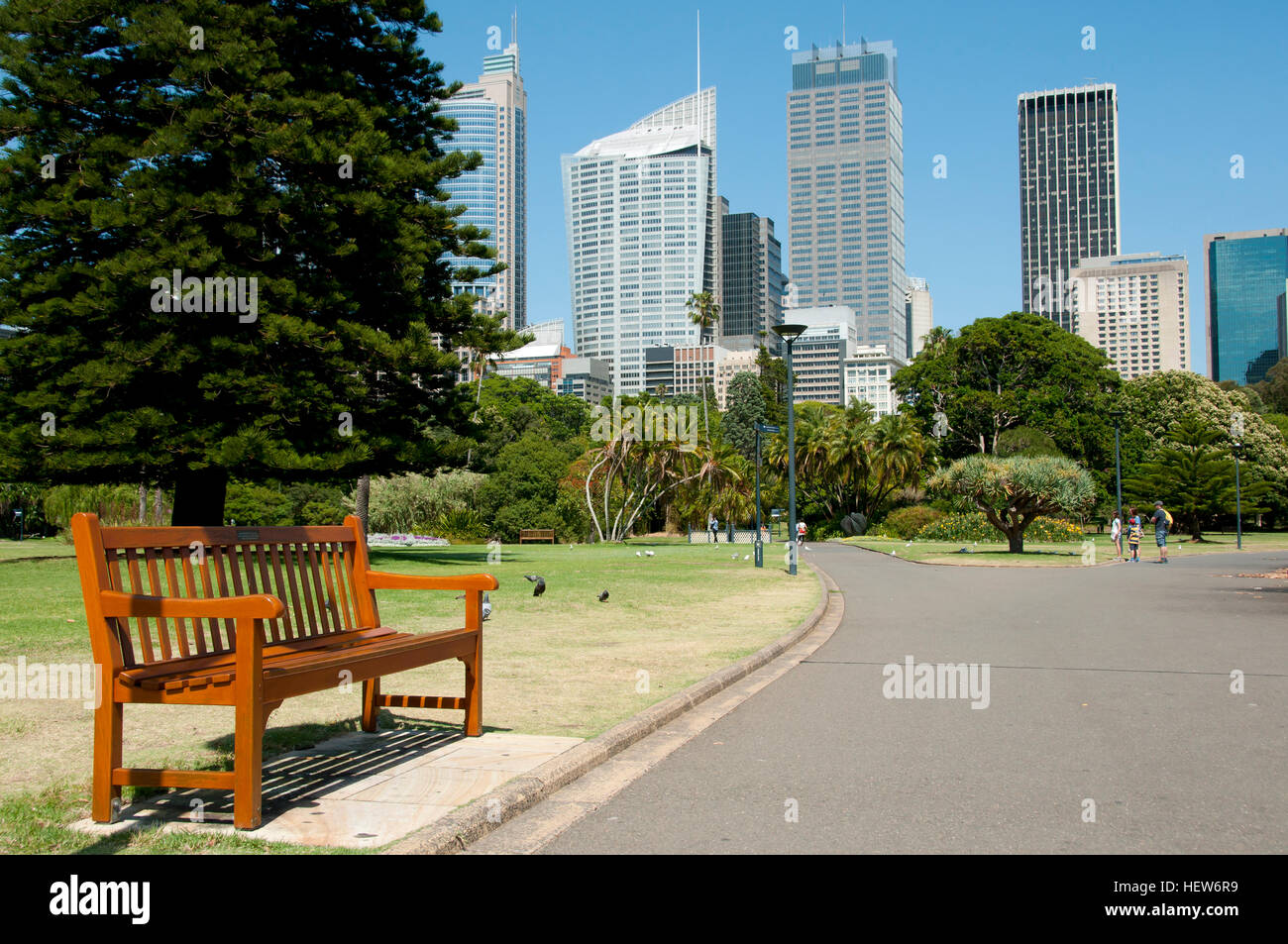 Botanical Garden - Sydney - Australia Stock Photo - Alamy