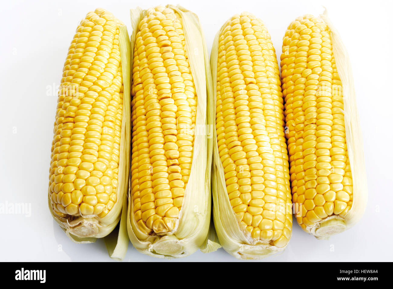 Four corncobs (maize) next to one another (Zea mays Stock Photo - Alamy