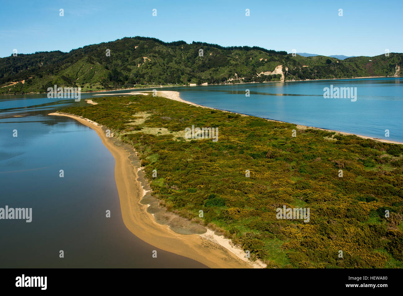 Regenerating forest and a peninsula dividing Wainui Bay in the northern ...