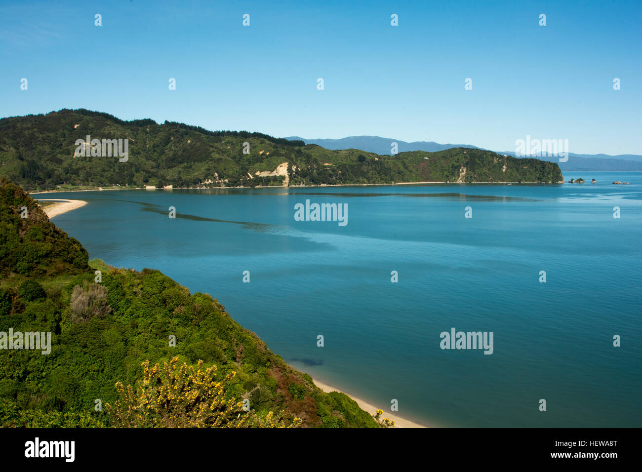 Regenerating forest high above the deep blue Wainui Bay in the very ...