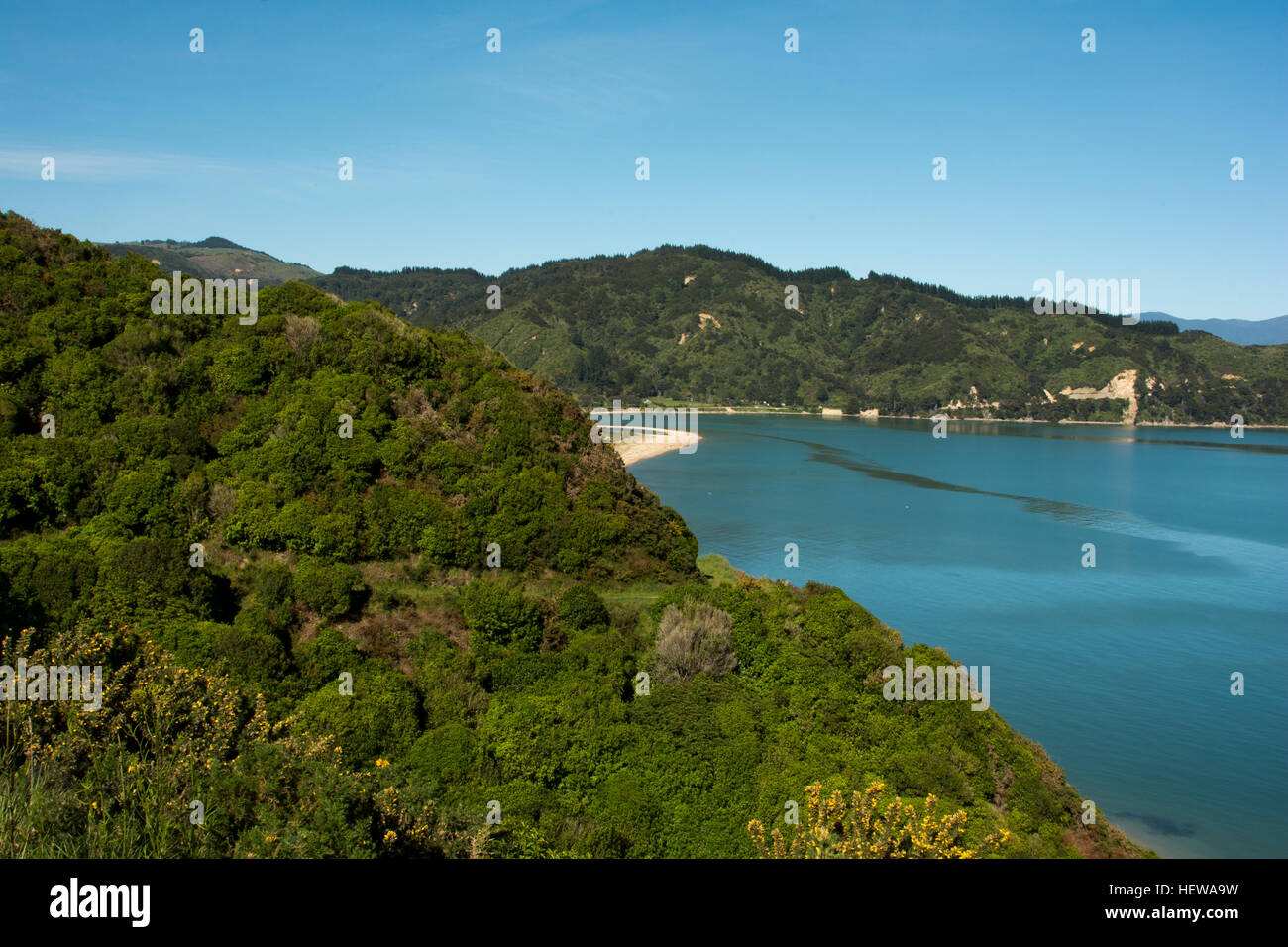 Wainui bay hi-res stock photography and images - Alamy
