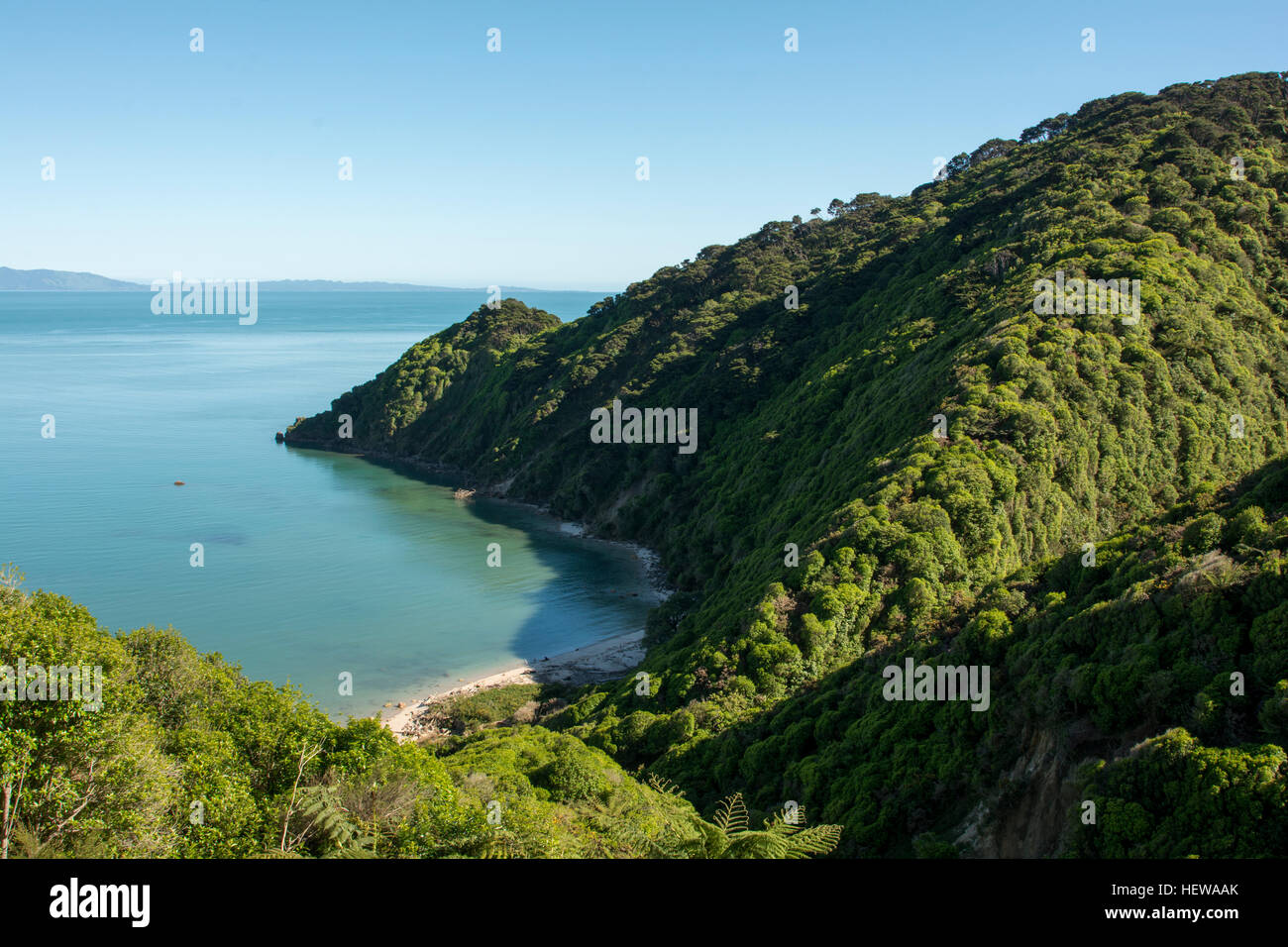 Wainui bay hi-res stock photography and images - Alamy