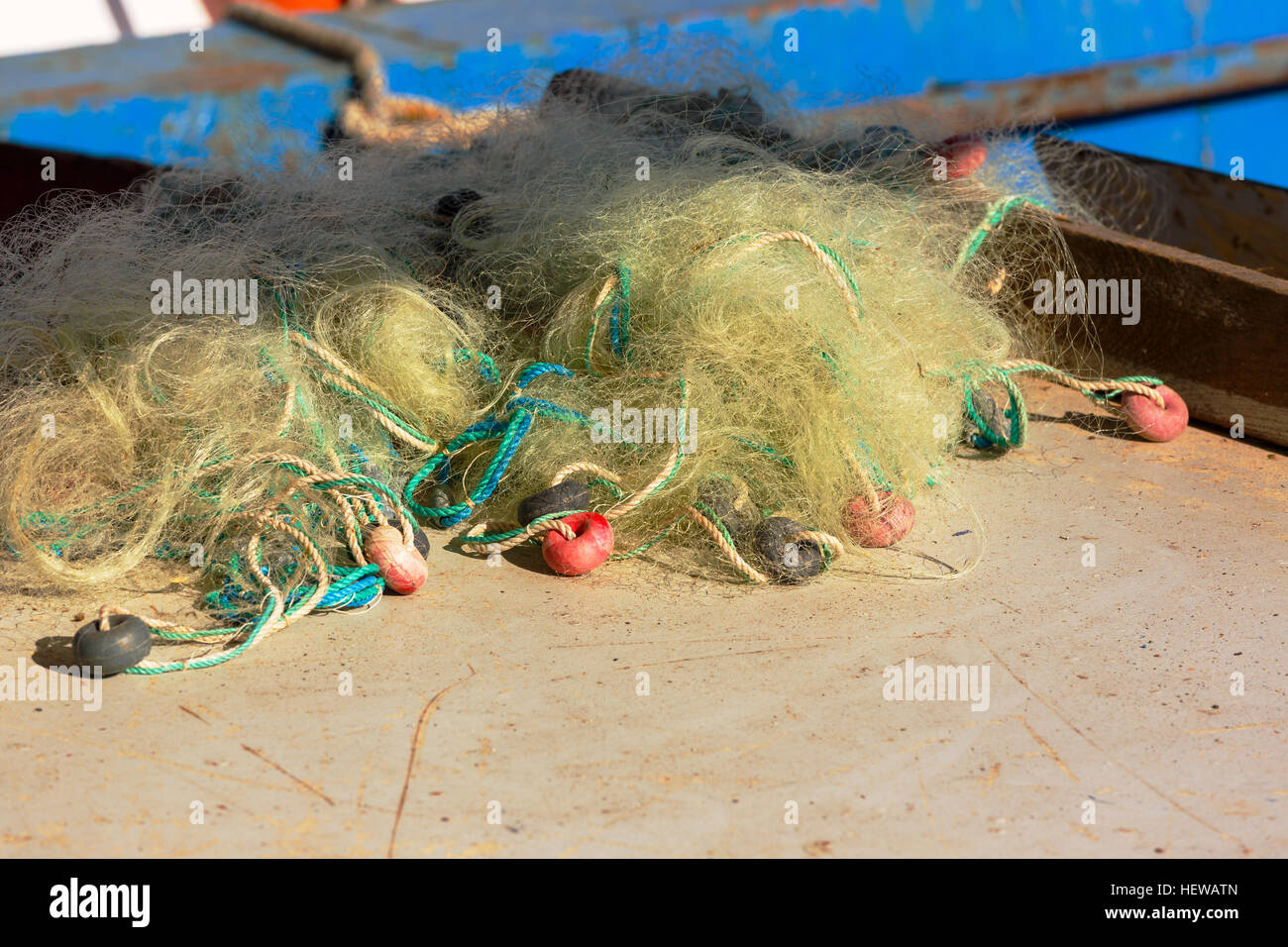 Under net mesh netting hi-res stock photography and images - Alamy