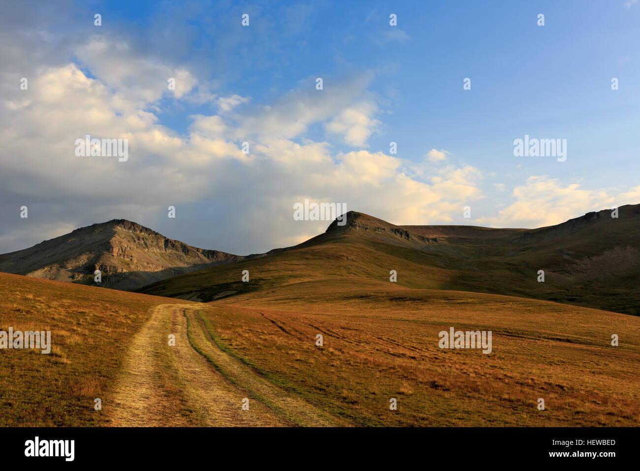 Pathway nature hi-res stock photography and images - Alamy