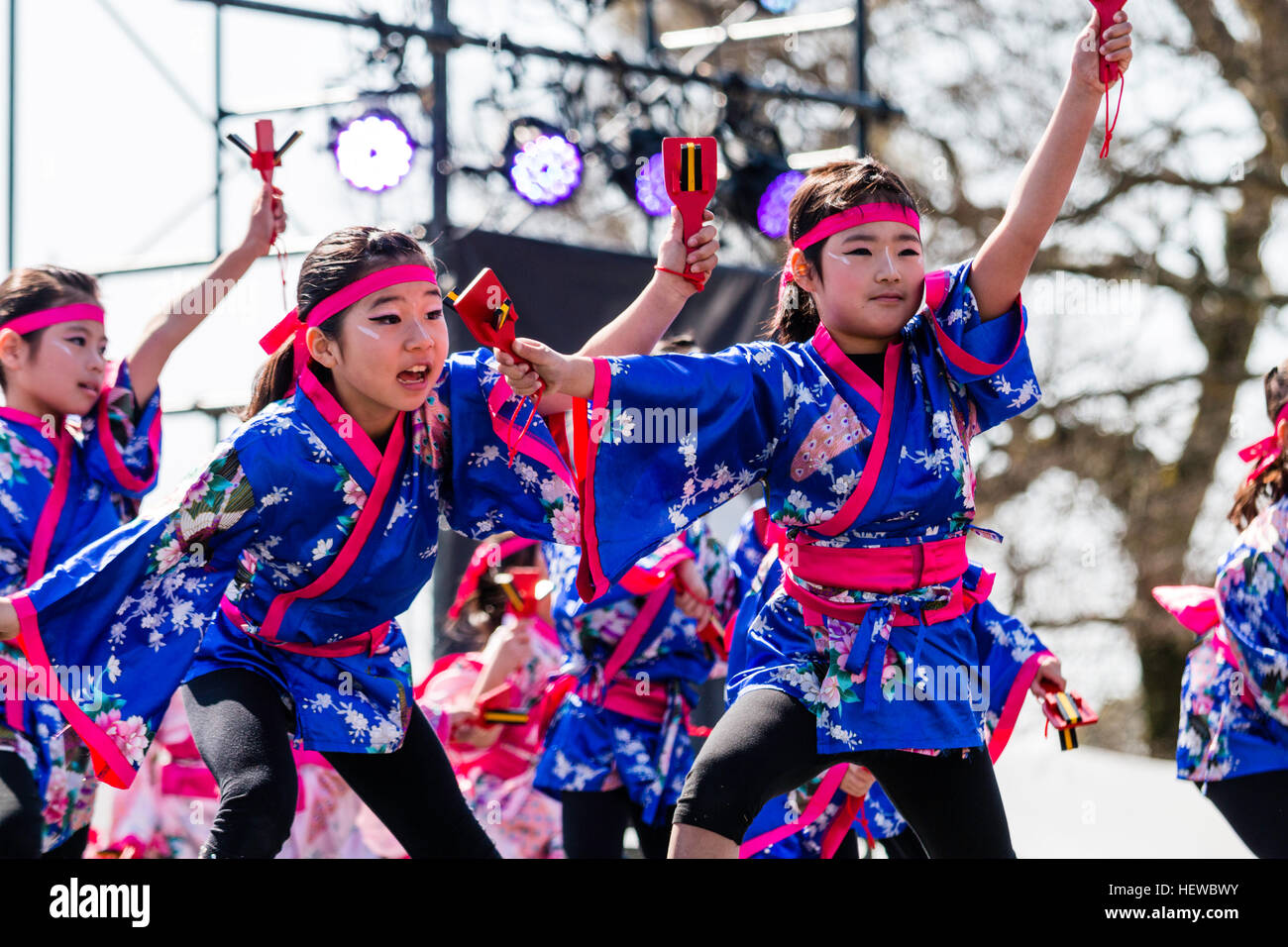 Japanese Yosakoi festival. Young children, girls, 7-10 years old ...