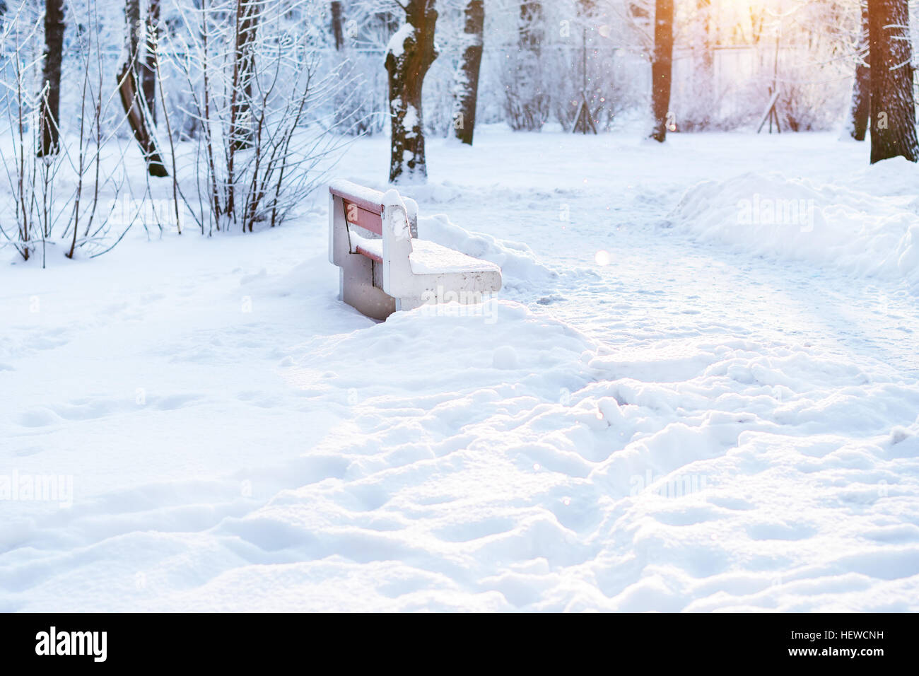 Sunlight direct falling in hi-res stock photography and images - Alamy
