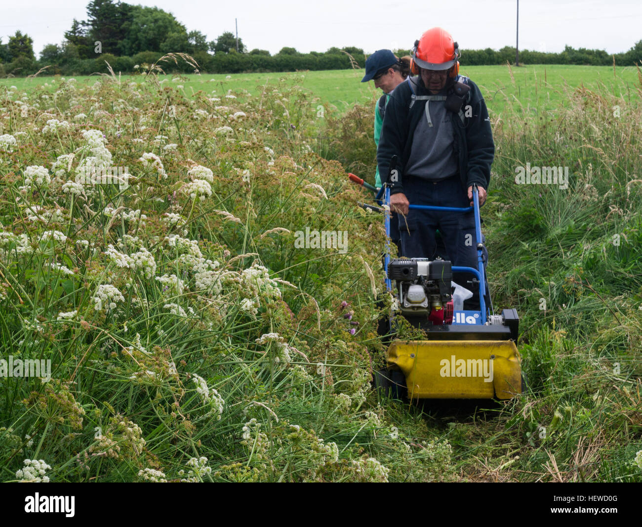 Volunteer using flail mower hi-res stock photography and images - Alamy