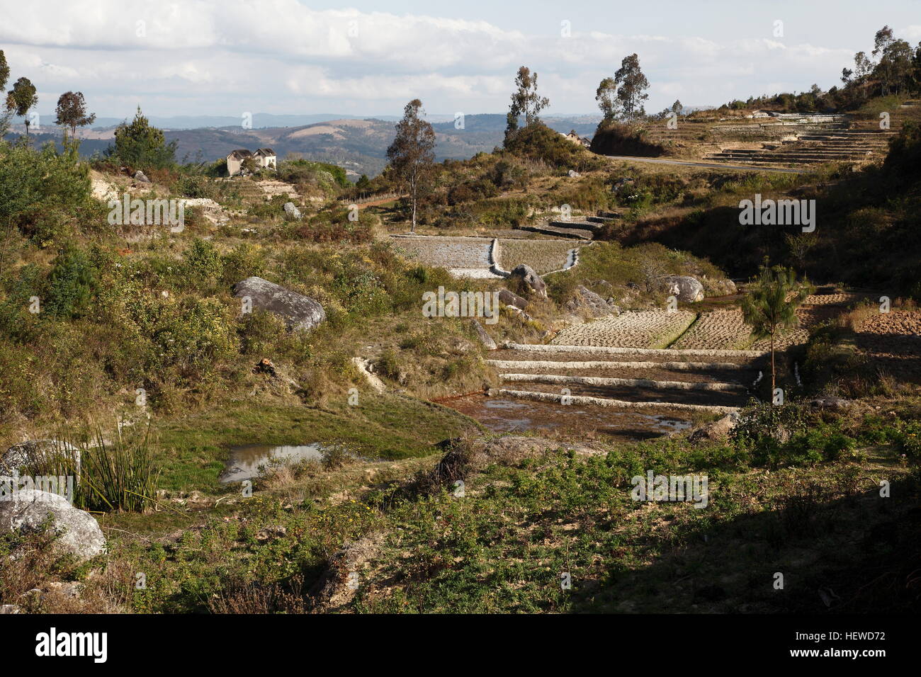 Rice terraces and farmhouse to the south of Ambositra, Madagascar Stock ...