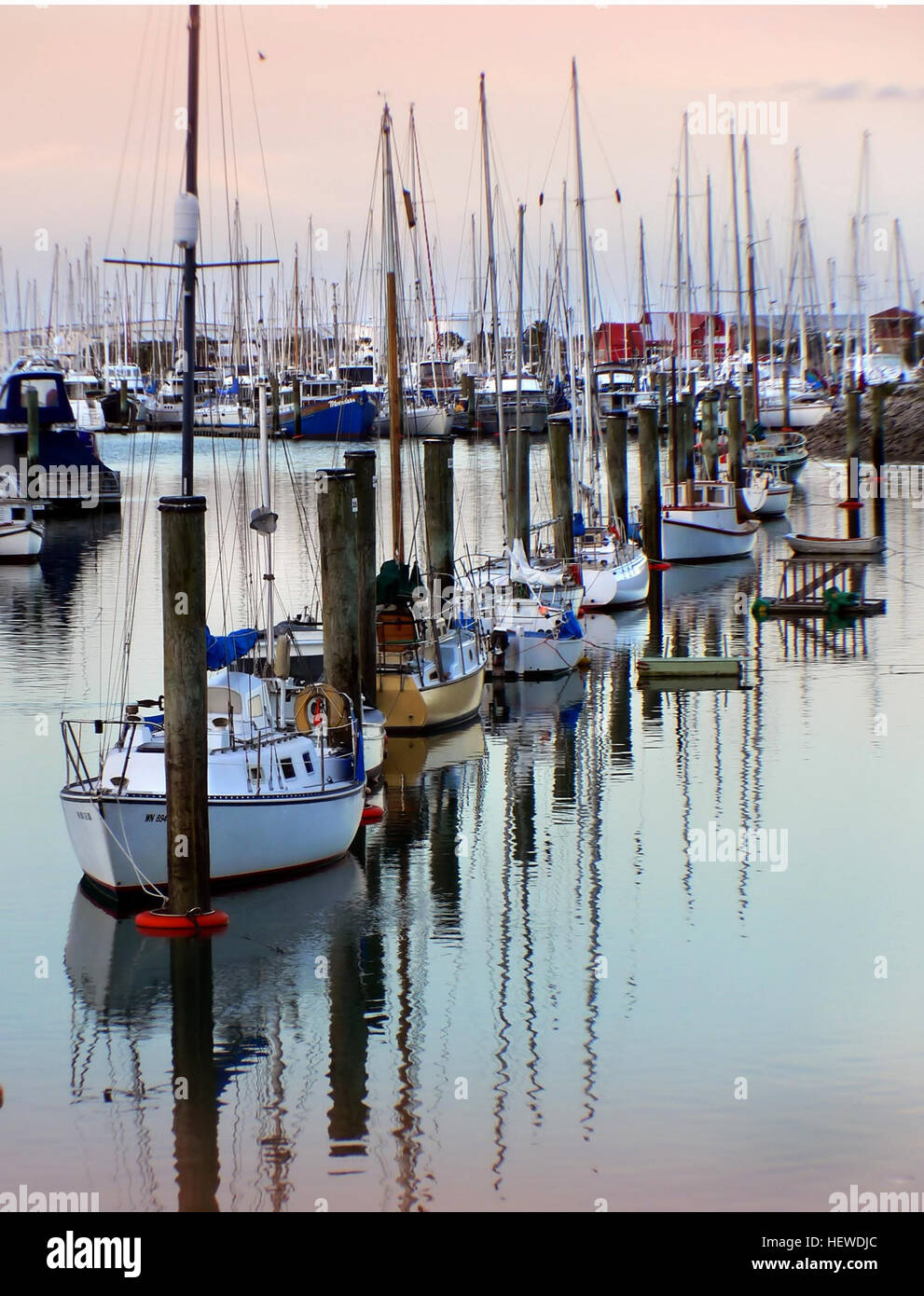 Buoys, cleats, hulls, and ropes are essential components in sailing and ...