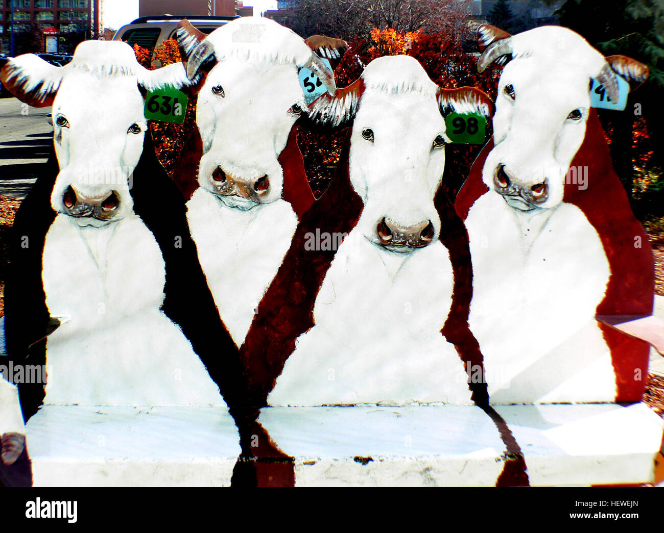This bench in downtown Calgary provides a restful spot for visitors ...