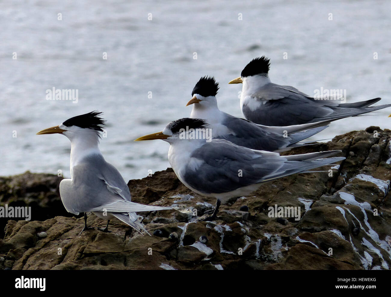 Passing tropical cyclones hi-res stock photography and images - Alamy