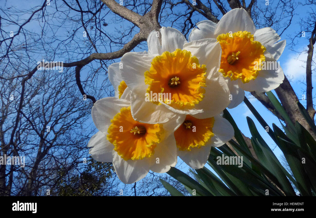 Rebirth symbolism hi-res stock photography and images - Alamy