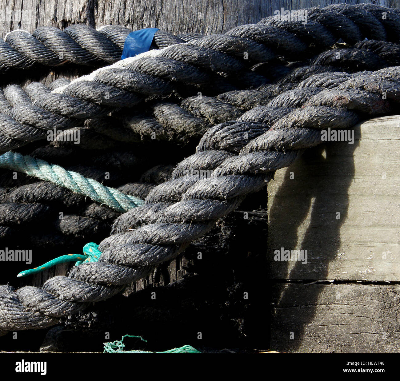 Dunedin Bus High Resolution Stock Photography and Images - Alamy
