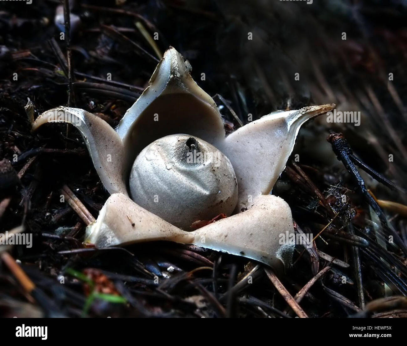 Photography is a visual art form that captures moments, emotions, and ...