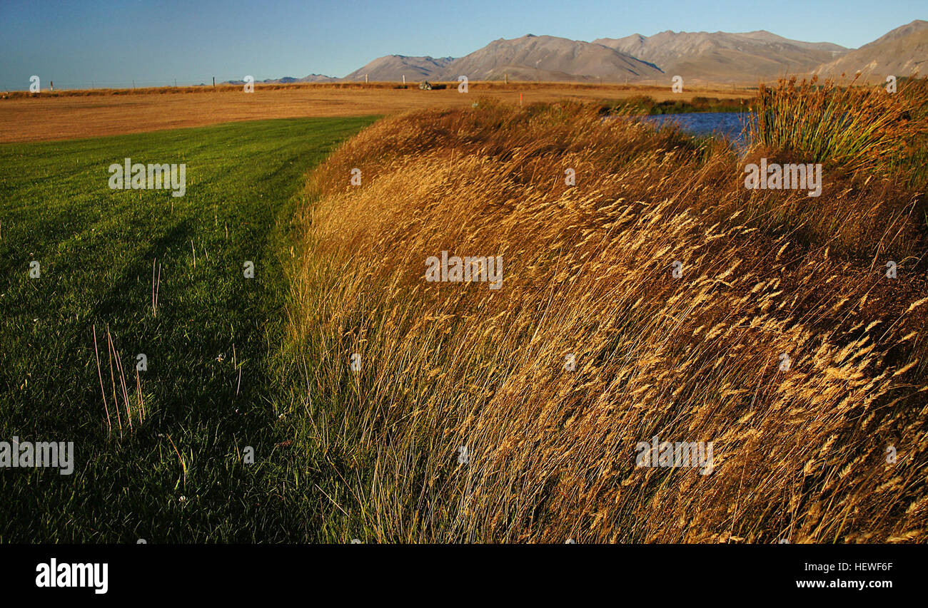 Cairns golf tekapo hi-res stock photography and images - Alamy