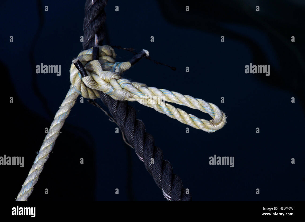 A detailed photographic study of various maritime elements, including ...