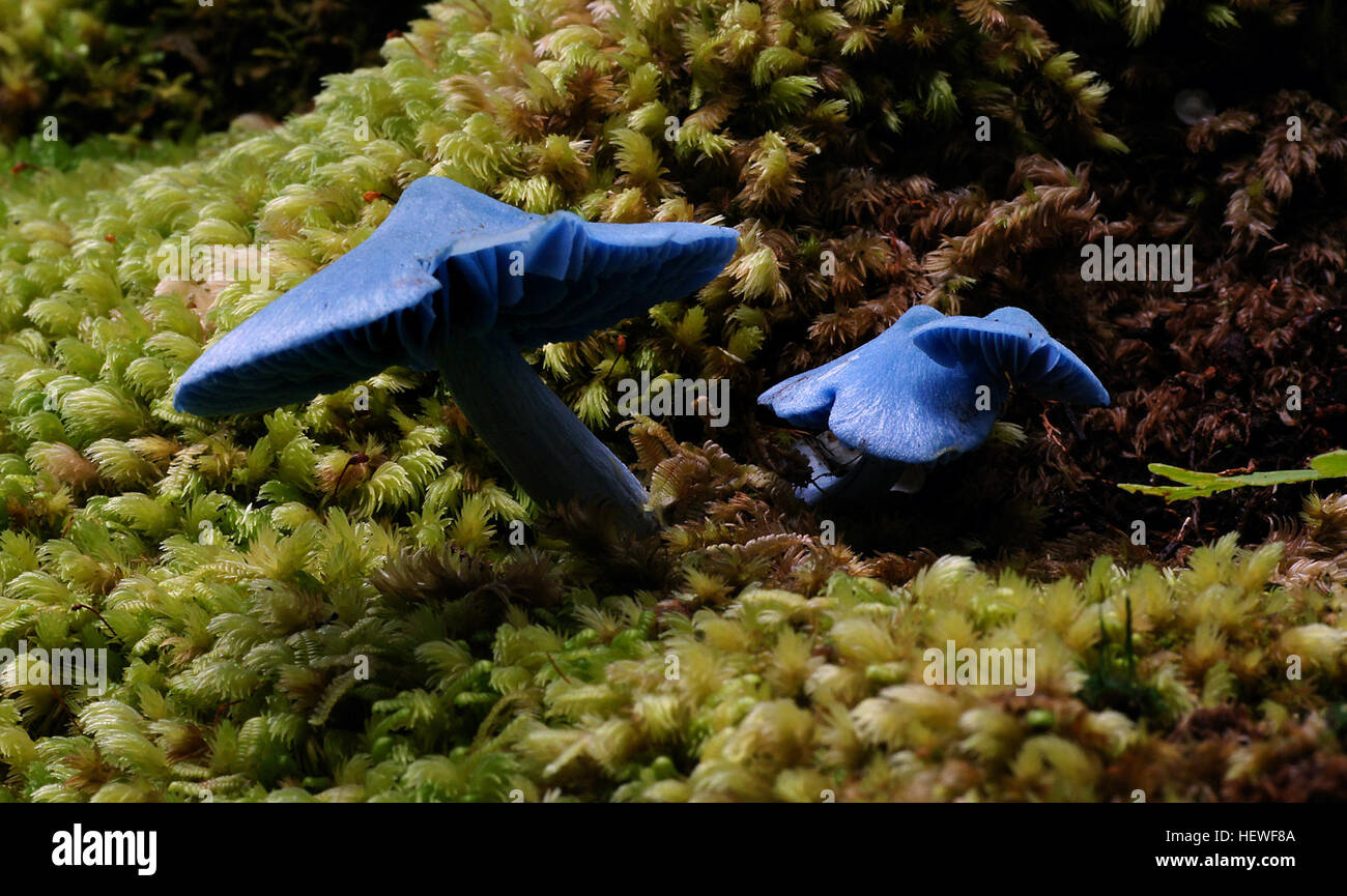 30 edges hi-res stock photography and images - Alamy