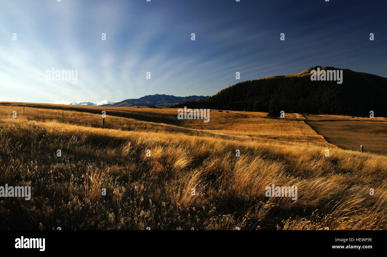 The Mackenzie Basin, also known as Mackenzie Country, is located in New ...
