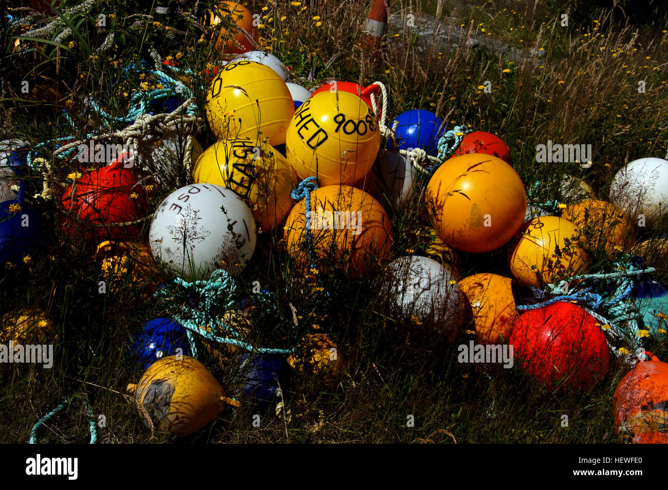 A float in a parade or festival is required to display the owner's name ...