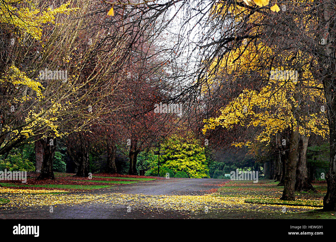 Hagley Park in Christchurch, New Zealand, is a vast public park known ...