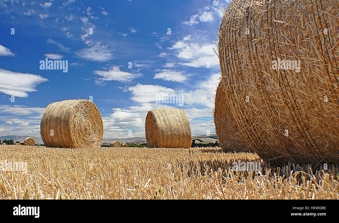 Crop rotation haymaking in hi-res stock photography and images - Alamy