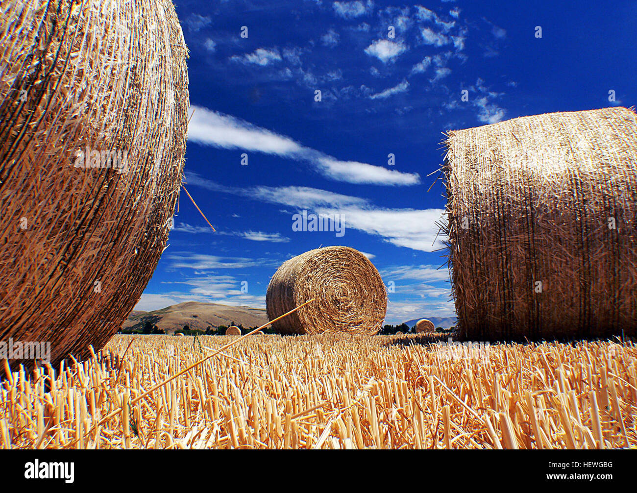 Stacked hay bales during hi-res stock photography and images - Alamy