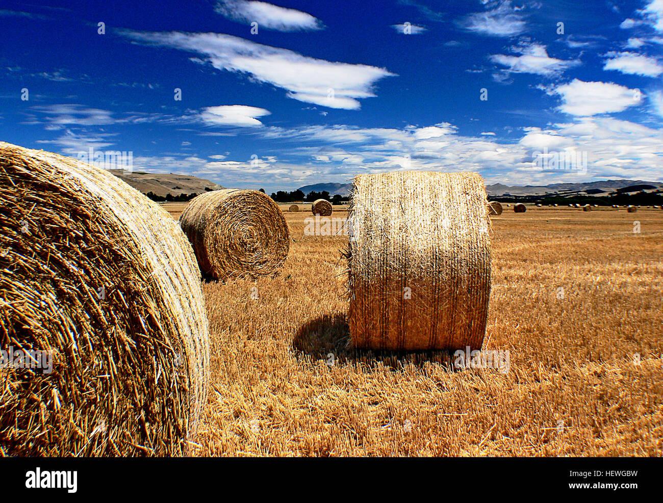 Round hay bales typically weigh between 750-1500lbs. The machines that ...