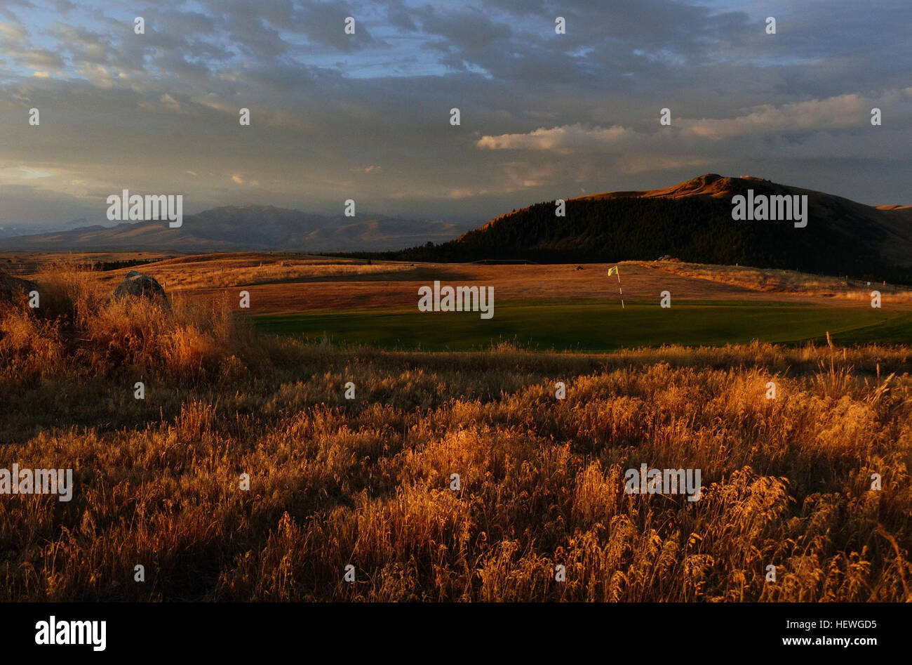 Mackenzie Basin, known for its open spaces, was a key location for ...