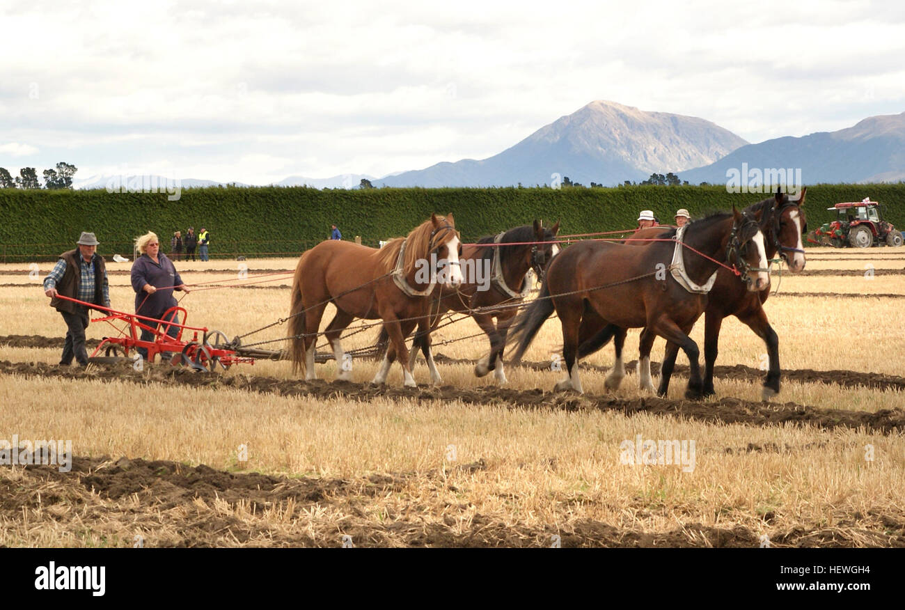 The plough is a vital farming tool used for turning soil before ...