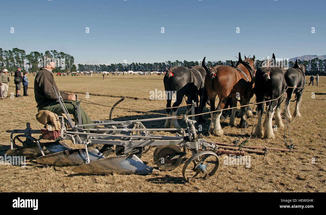 Ploughs were initially human powered, but the process became ...