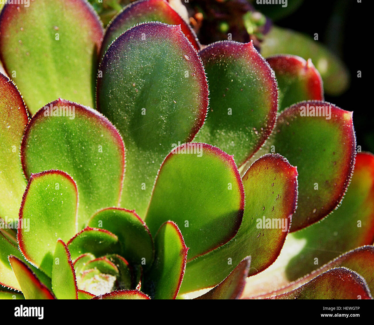 Photography captures moments, scenes, and objects, preserving visual ...