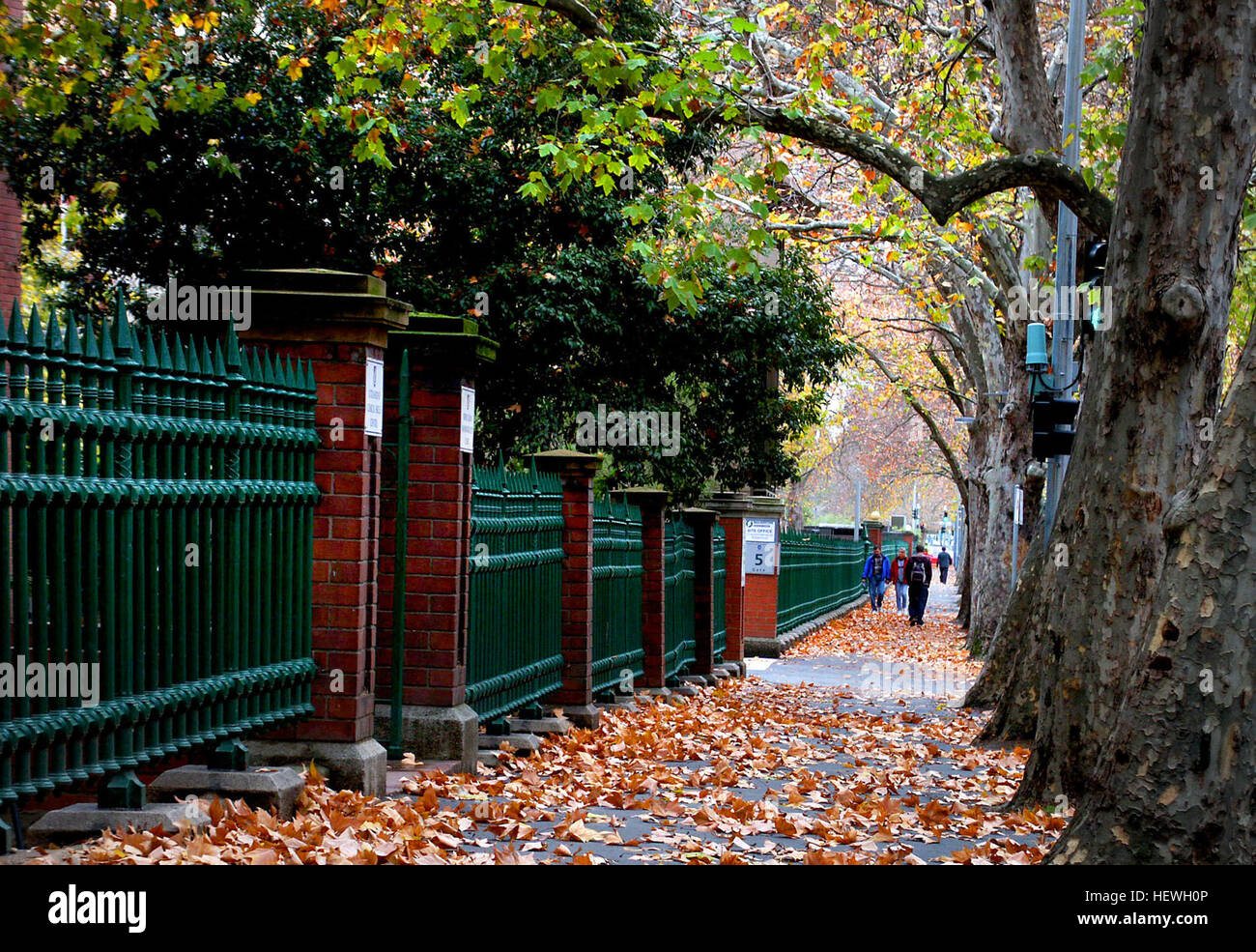 An avenue is a straight route or pathway flanked by rows of trees or ...