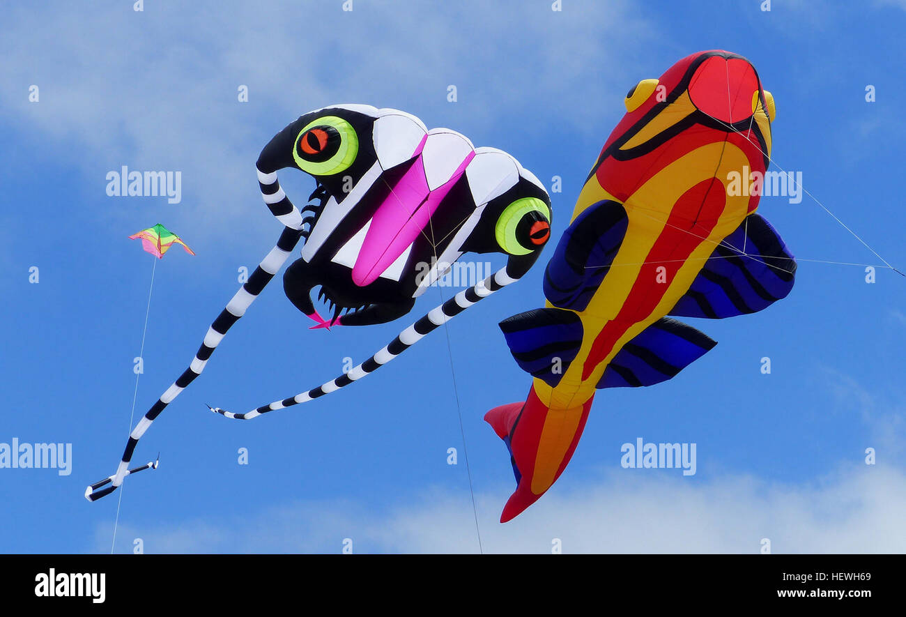 A kite is a tethered object with an aerodynamic surface that creates ...